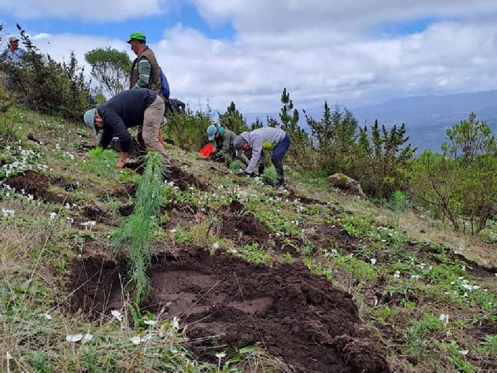 Comunidades y personas particulares se suman a jornadas de reforestación