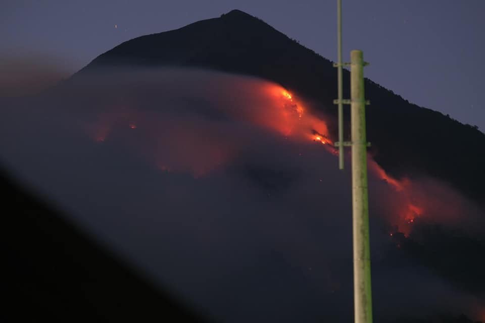 El Quetzal, Pavo de Cacho, Venado Cola Blanca entre otras especies en ...